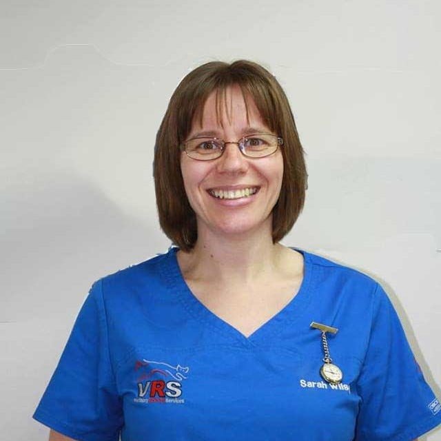 Meet the Team at Hamilton Small Animal Veterinary Centre - Hamilton Vets