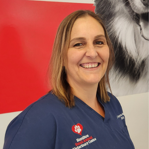 Meet the Team at Hamilton Small Animal Veterinary Centre - Hamilton Vets