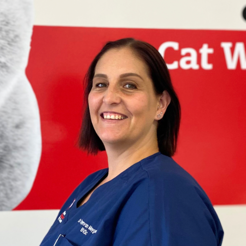 Meet the Team at Hamilton Small Animal Veterinary Centre - Hamilton Vets